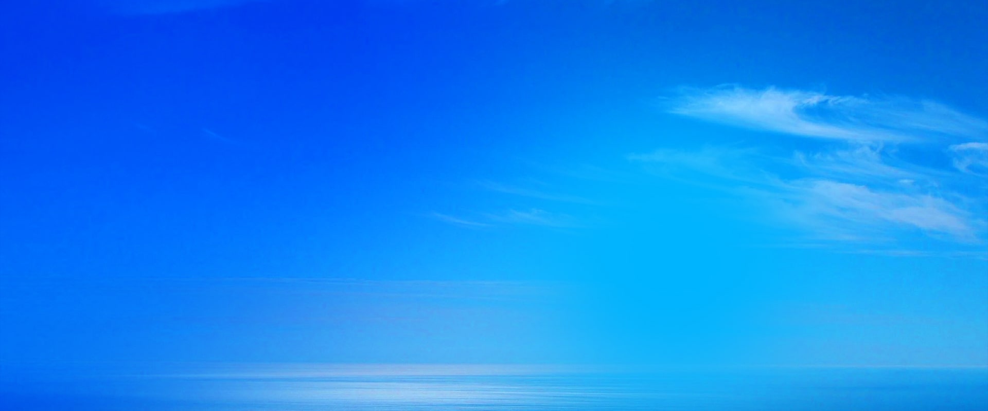 Jiangsu Yanghe Premium Brand - traditional alcoholic beverage from China.